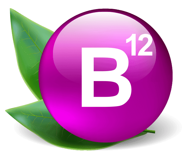 vitamina-b12 dott mellace nutrizionista – Dr.ssa Rita Mellace
